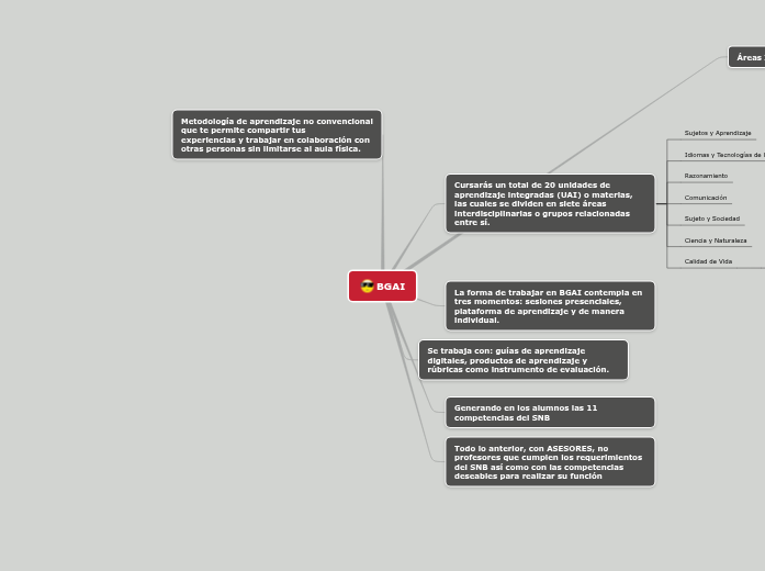MAPA MENTAL BGAI - Mind Map