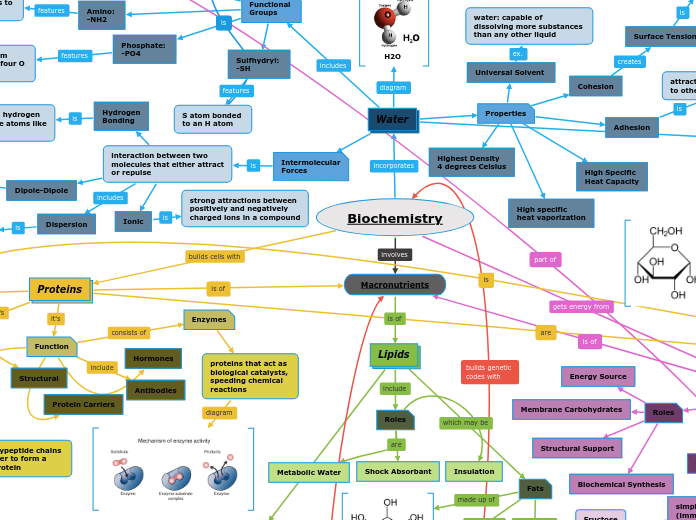 Biochemistry - Mind Map