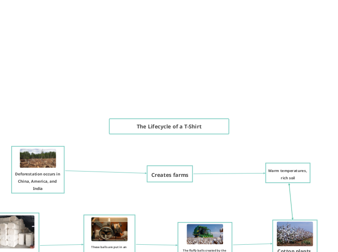 The Lifecycle of a T-Shirt - Mind Map