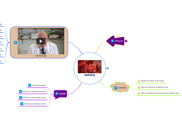ANEMIA - Mind Map