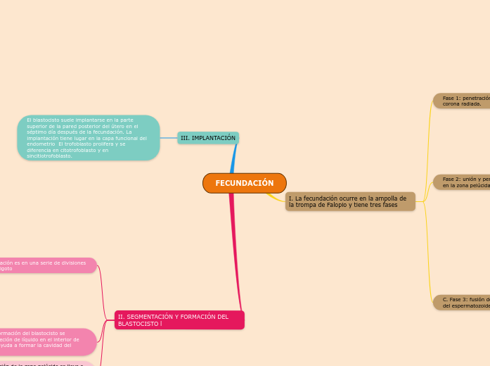 FECUNDACIÓN - Mind Map