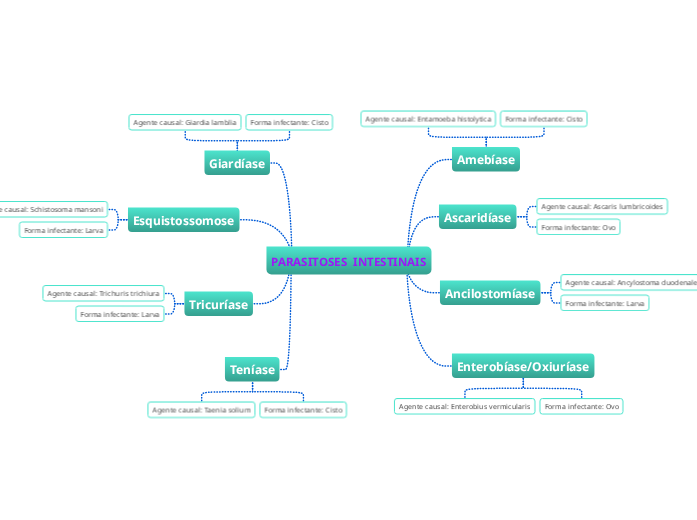 PARASITOSES INTESTINAIS - Mind Map