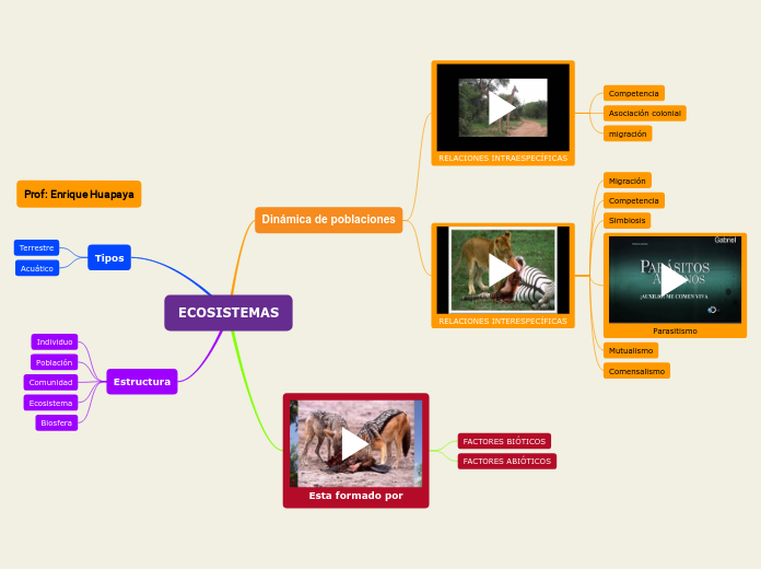 ECOSISTEMAS - Mind Map