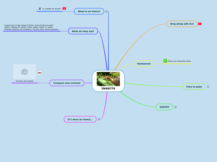 INSECTS - Mind Map