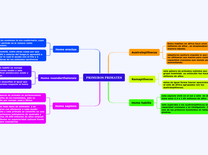 PRIMEROS PRIMATES - Mind Map