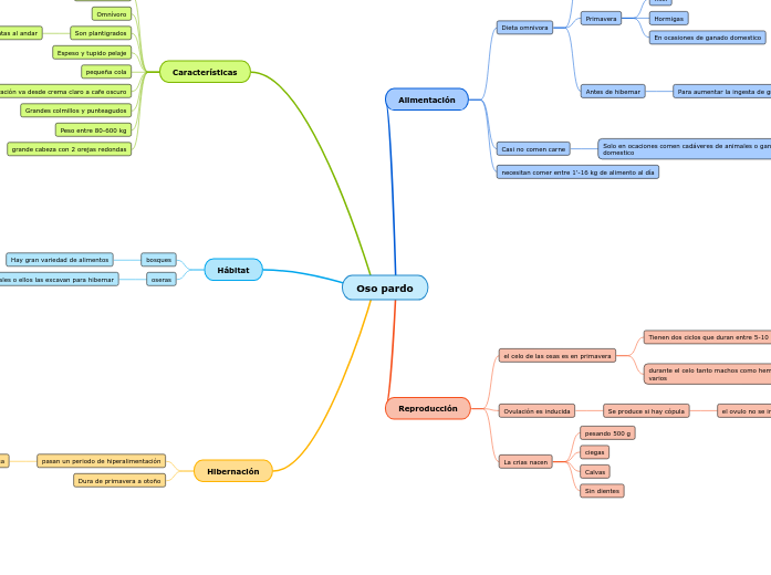 Oso pardo - Mind Map