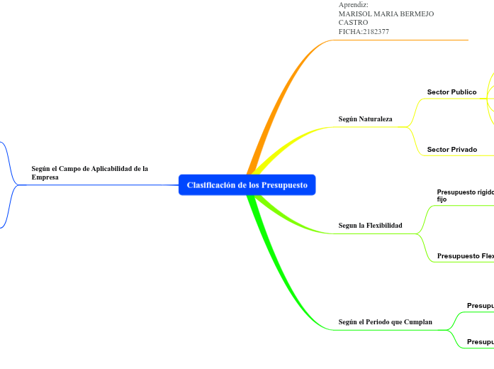 Clasificación de los Presupuesto - Mind Map