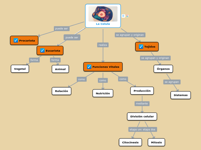 La Celula - Mind Map