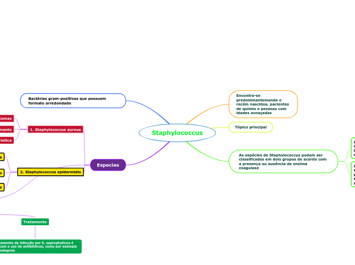 Staphylococcus - Mind Map