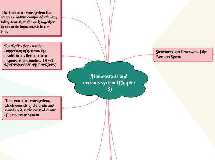 Homeostasis and nervous system (Chapter 8) - Mind Map