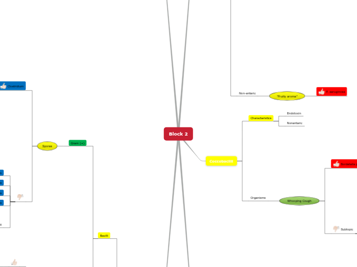 Gram (-) - Mind Map
