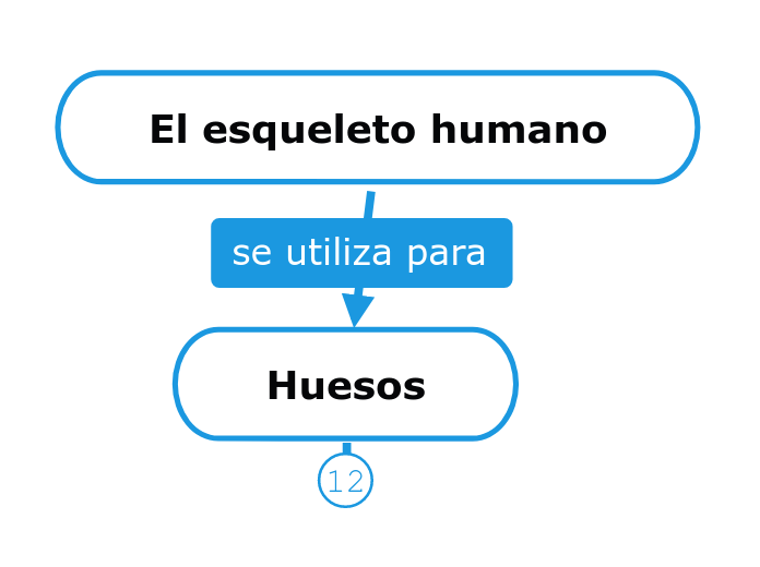 El esqueleto humano - Mind Map