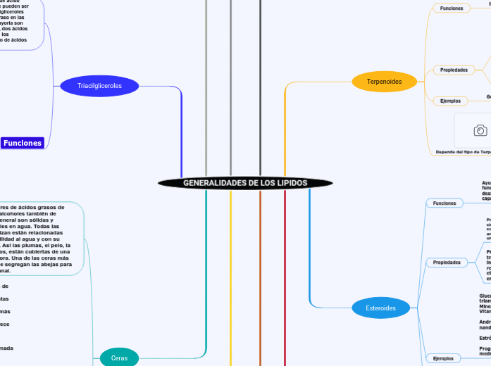 GENERALIDADES DE LOS LIPIDOS - Mind Map
