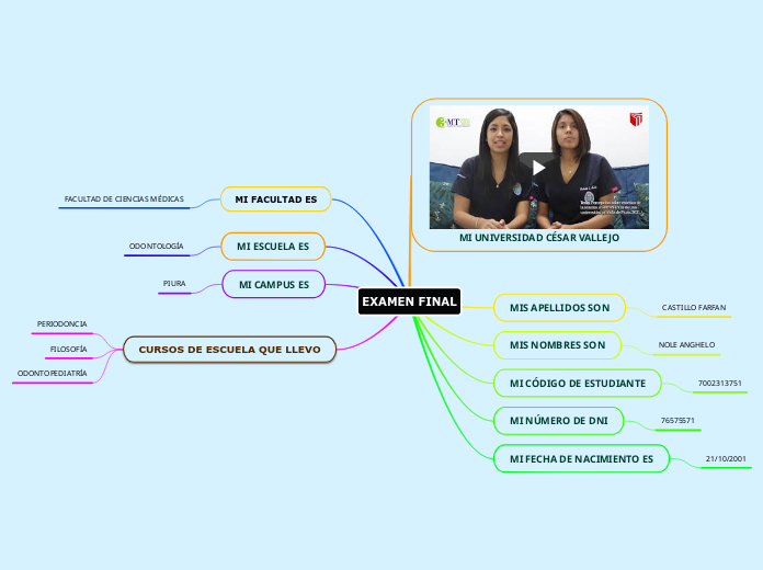 EXAMEN FINAL - Mind Map