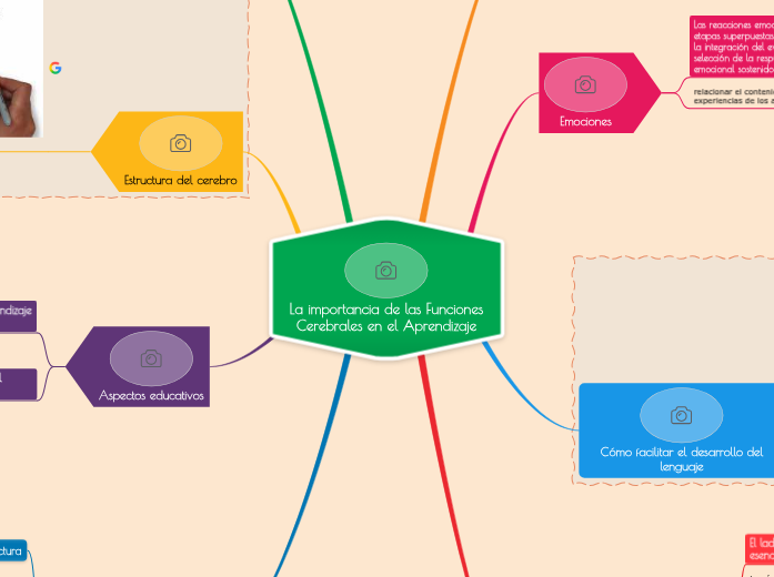 La importancia de las Funciones Cerebrales...- Mind Map