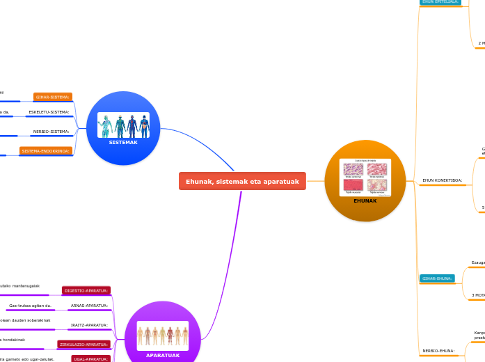 Ehunak, sistemak eta aparatuak - Mind Map