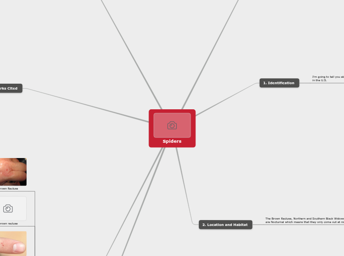 Spiders - Mind Map