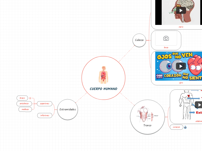 CUERPO HUMANO - Mind Map