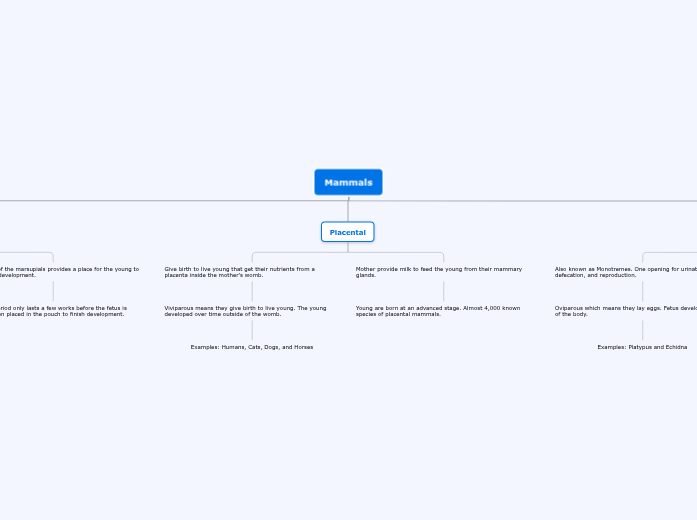 Mammals - Mind Map