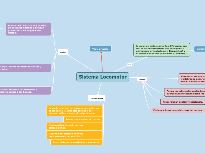Sistema Locomotor - Mind Map
