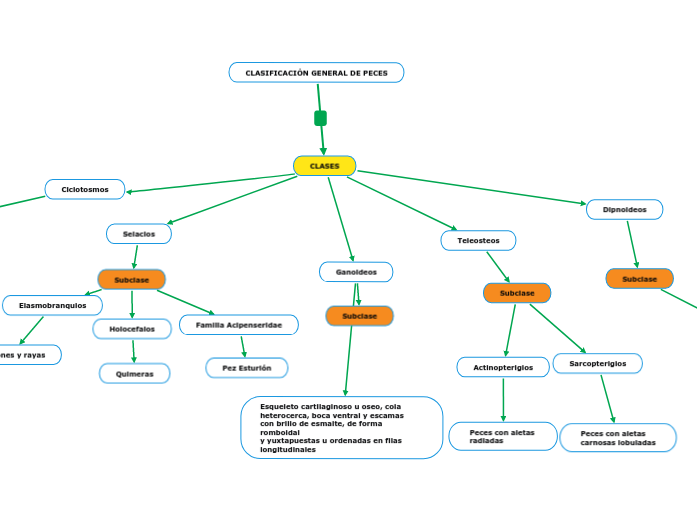 CLASIFICACIÓN GENERAL DE PECES - Mind Map