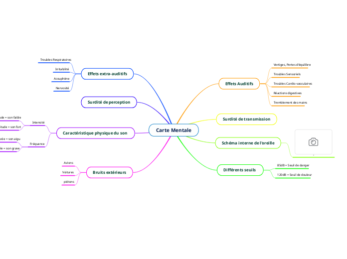 Carte Mentale - Mind Map