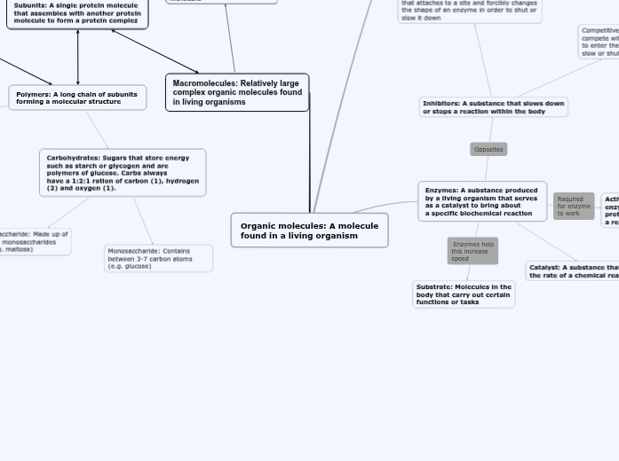 Organic molecules concept map - Mind Map