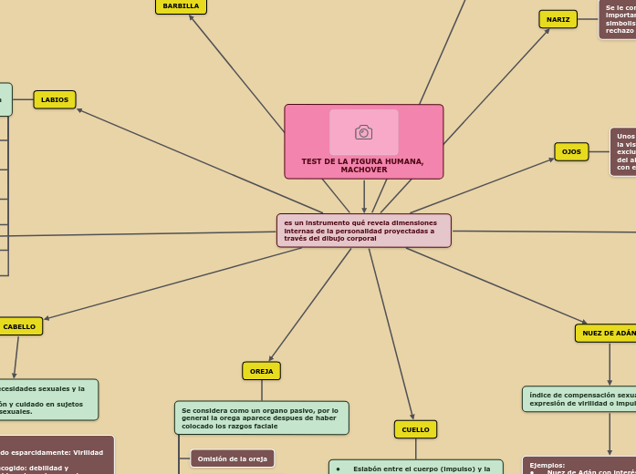 TEST DE LA FIGURA HUMANA, MACHOVER - Mind Map