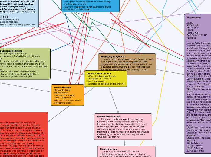 NS408 Allison Concept Map - Mind Map