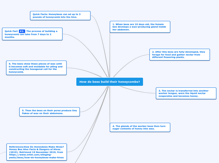 How do bees build their honeycombs? - Mind Map