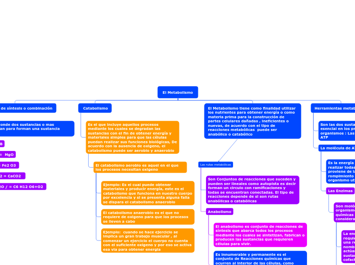 El Metabolismo - Mind Map