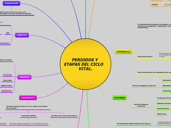 PERIODOS Y ETAPAS DEL CICLO VITAL. - Mind Map