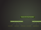 Causes of the Texas Revolution - Mind Map