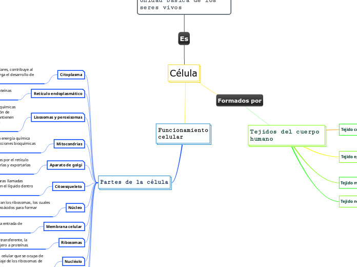 Funcionamiento celular - Mind Map