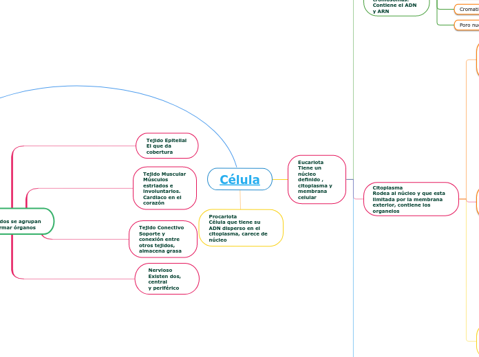 Célula - Mind Map
