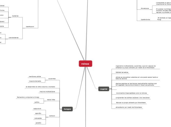 REINOS CARMEN TORRES CATHERINE DIAZ 9-2 - Mind Map