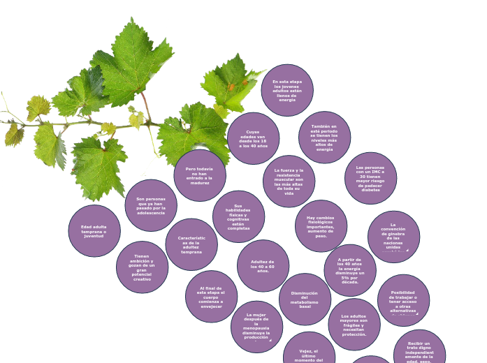Grapes brainstorming - Mind Map