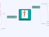 Sistema locomotor - Mind Map