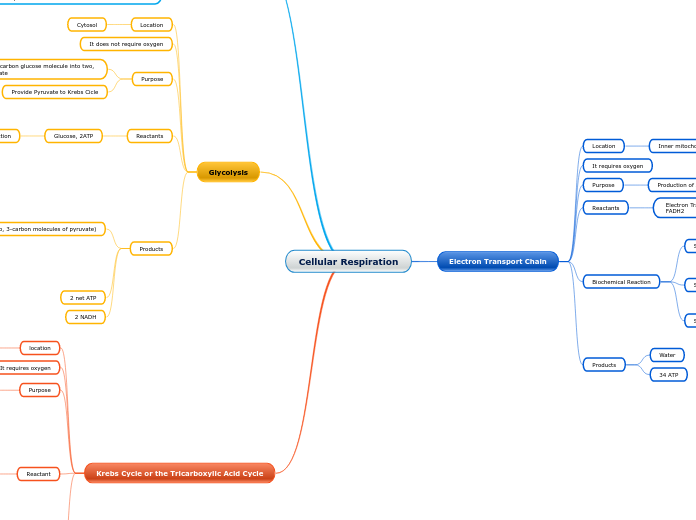 Cellular Respiration - Mind Map