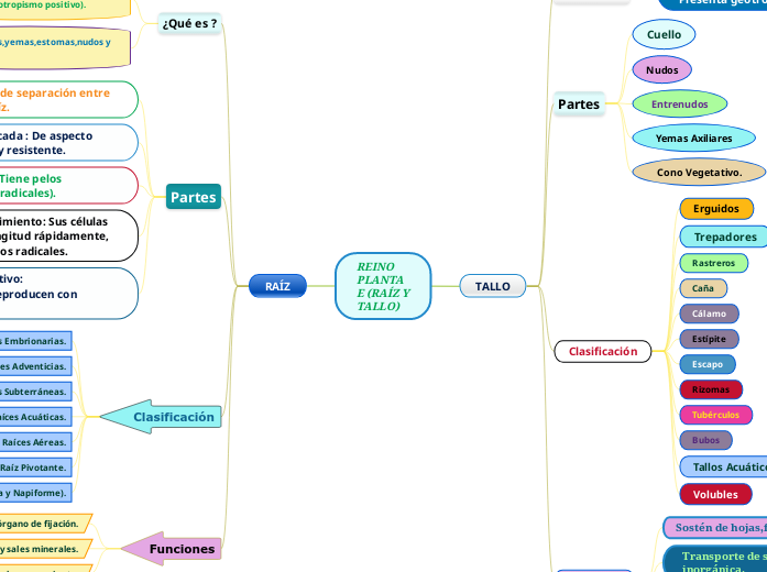 REINO PLANTAE (RAÍZ Y TALLO) - Mind Map