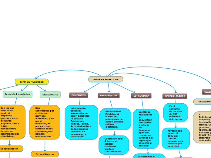 SISTEMA MUSCULAR - Mind Map