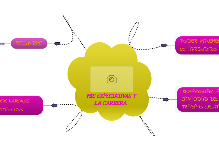 MIS EXPECTATIVAS Y LA CARRERA. - Mind Map