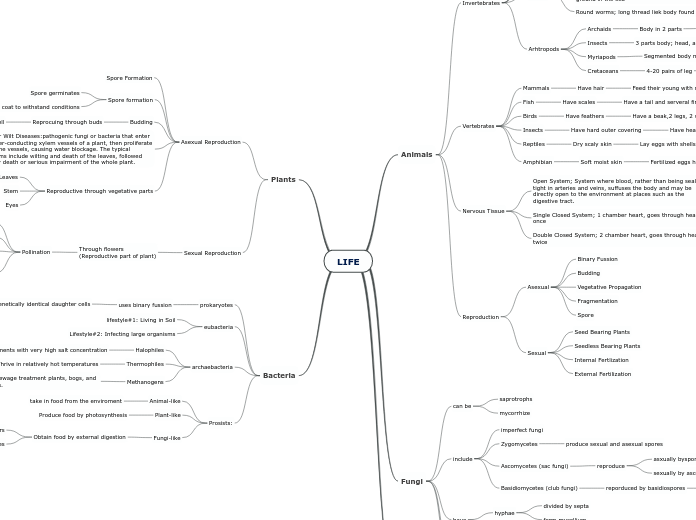 LIFE - Mind Map
