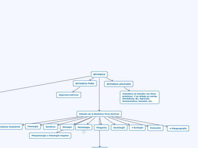 BOTANICA - Mind Map