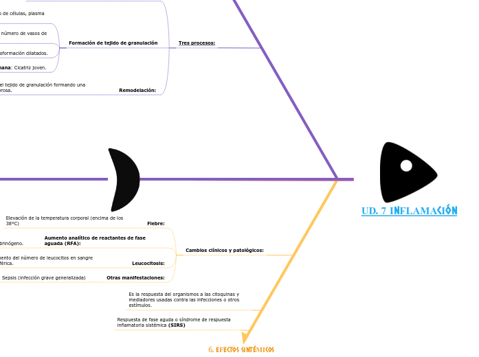 UD. 7 INFLAMACIÓN - Mind Map