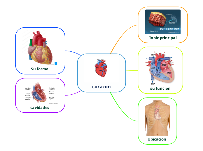 corazon - Mind Map