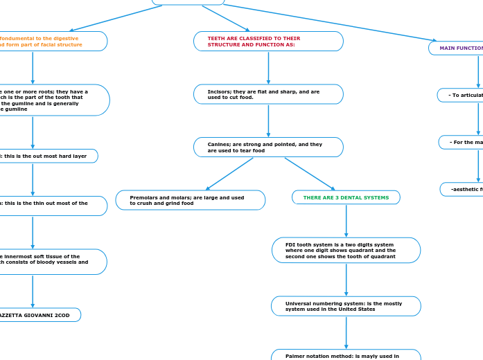 DENTAL ANATOMY - Mind Map