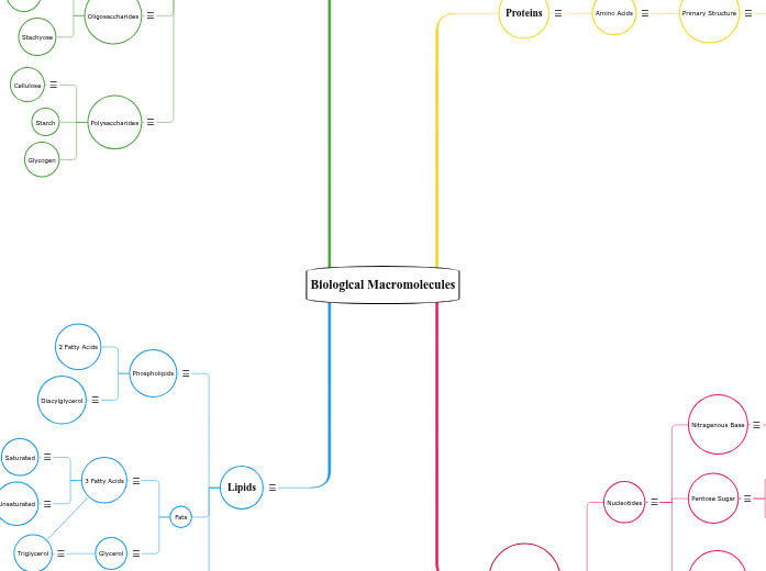 Biological Macromolecules back up - Mind Map