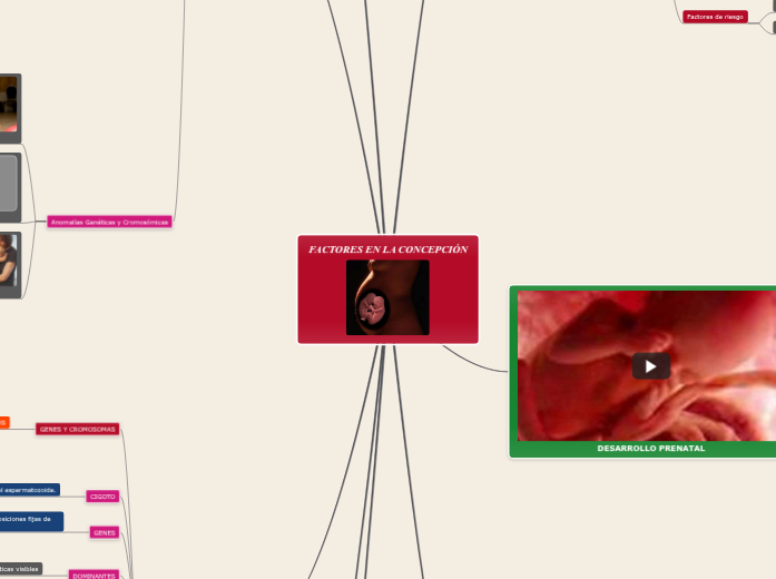 Desarrollo - Mind Map