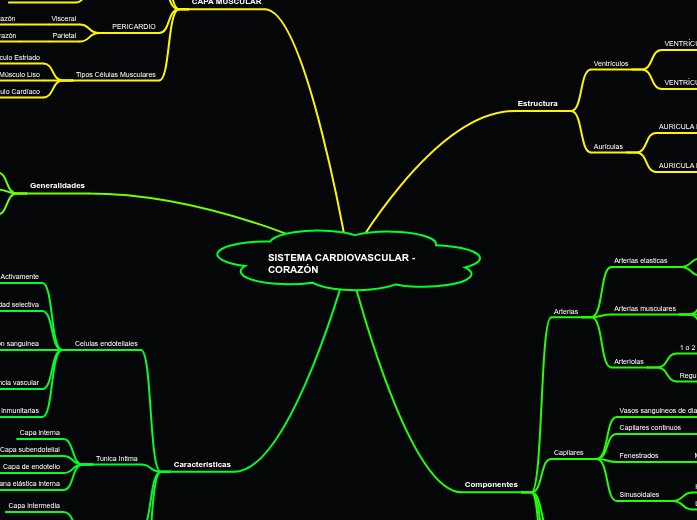 SISTEMA CARDIOVASCULAR - CORAZÓN - Mind Map
